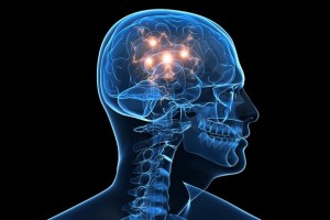 What Happens to Your Brain on Meth - Bridges Of Hope